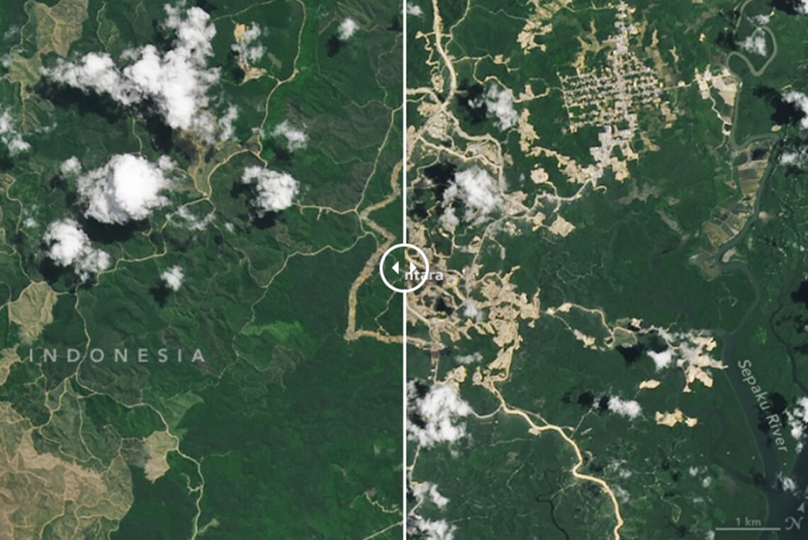 NASA Satellite Maps Tunjukkan Kondisi IKN Terkini, Beda Banget! - IKN Pos